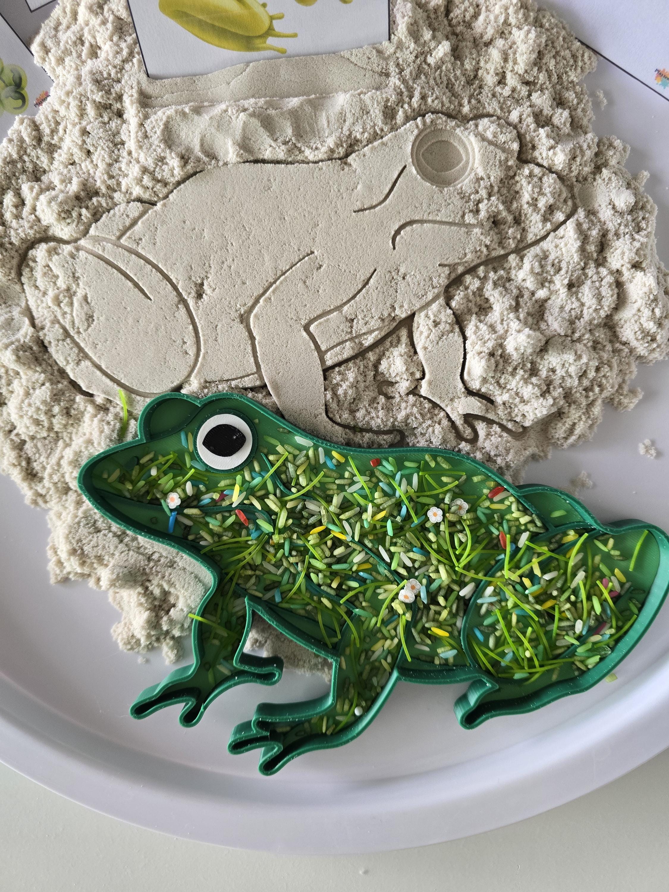 Montessori Frog Sensory Tray / Bio-pla Frog Shape - Life Cycle Learning ...