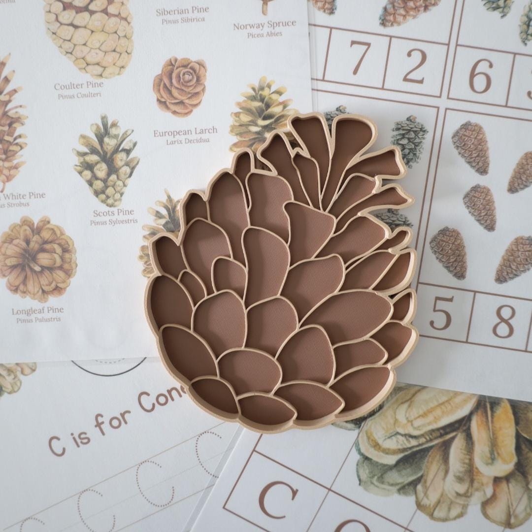 Montessori Pine Cone Sensory Tray – 3D Printed From Eco-friendly Bio ...