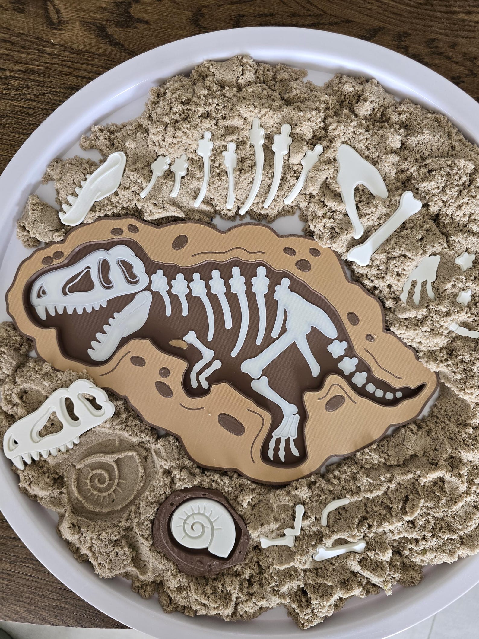 Dinosaur Fossil Dig Tray for Kids - Etsy