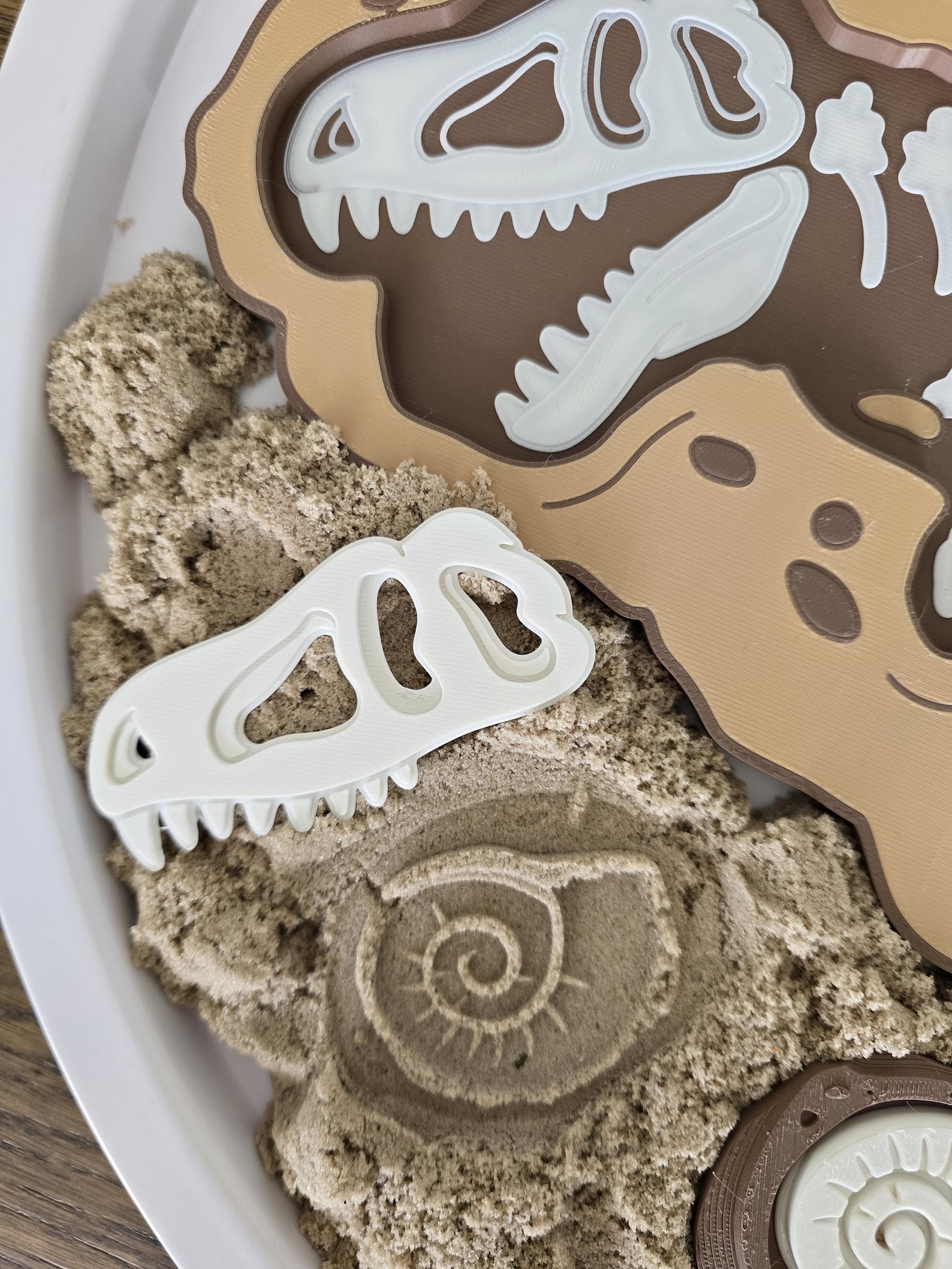 3D Printed Dinosaur Dig Tray: Bio PLA Fossil Exploration Kit - Etsy