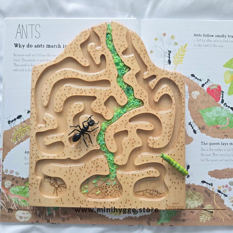 Sensory Play Tray: Ant Hill Maze - Etsy