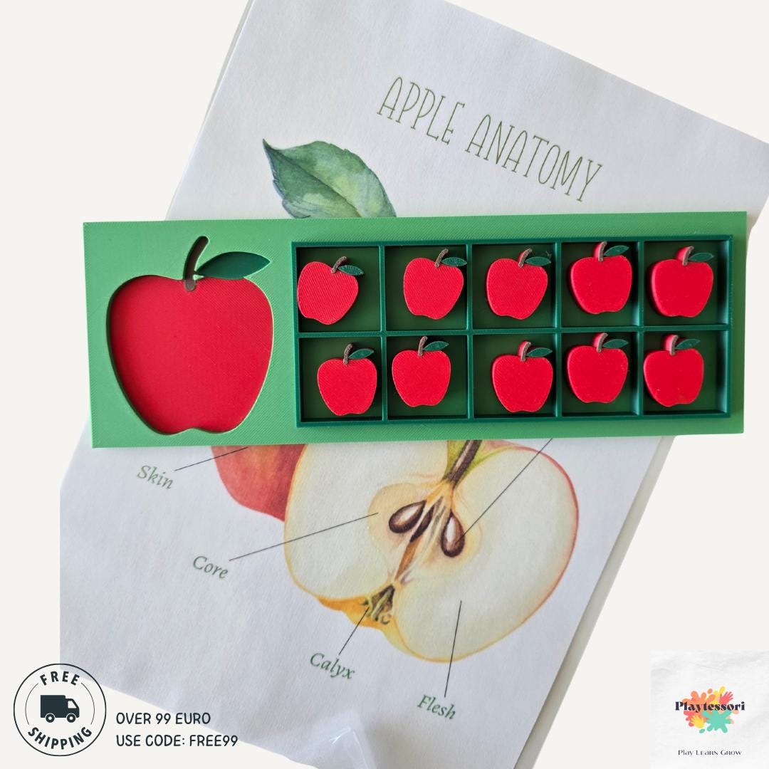 Montessori Apple 10-frame Counting Set: Number Sense & Fine Motor ...