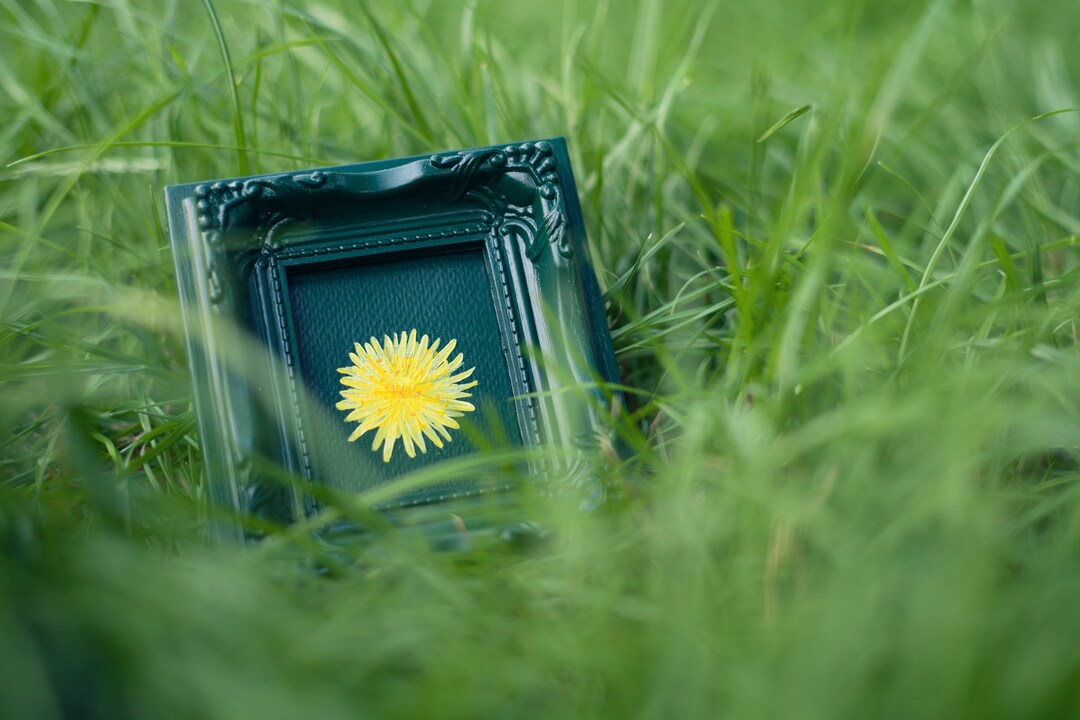 Dandelion Original Realistic Mini Acrylic Painting Handmade Artwork - Etsy