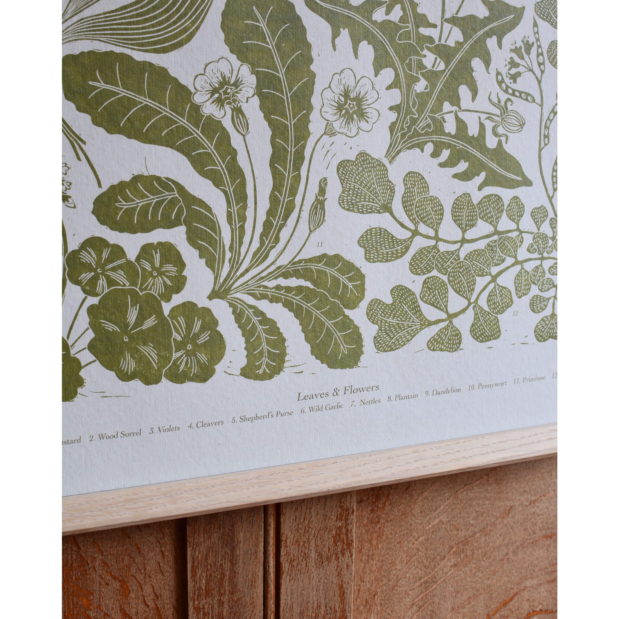 Botanical Print Spring by Isla Middleton, Foraging Plants, Botanical ...