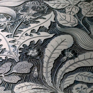 Botanical Print Spring by Isla Middleton, Foraging Plants, Botanical ...
