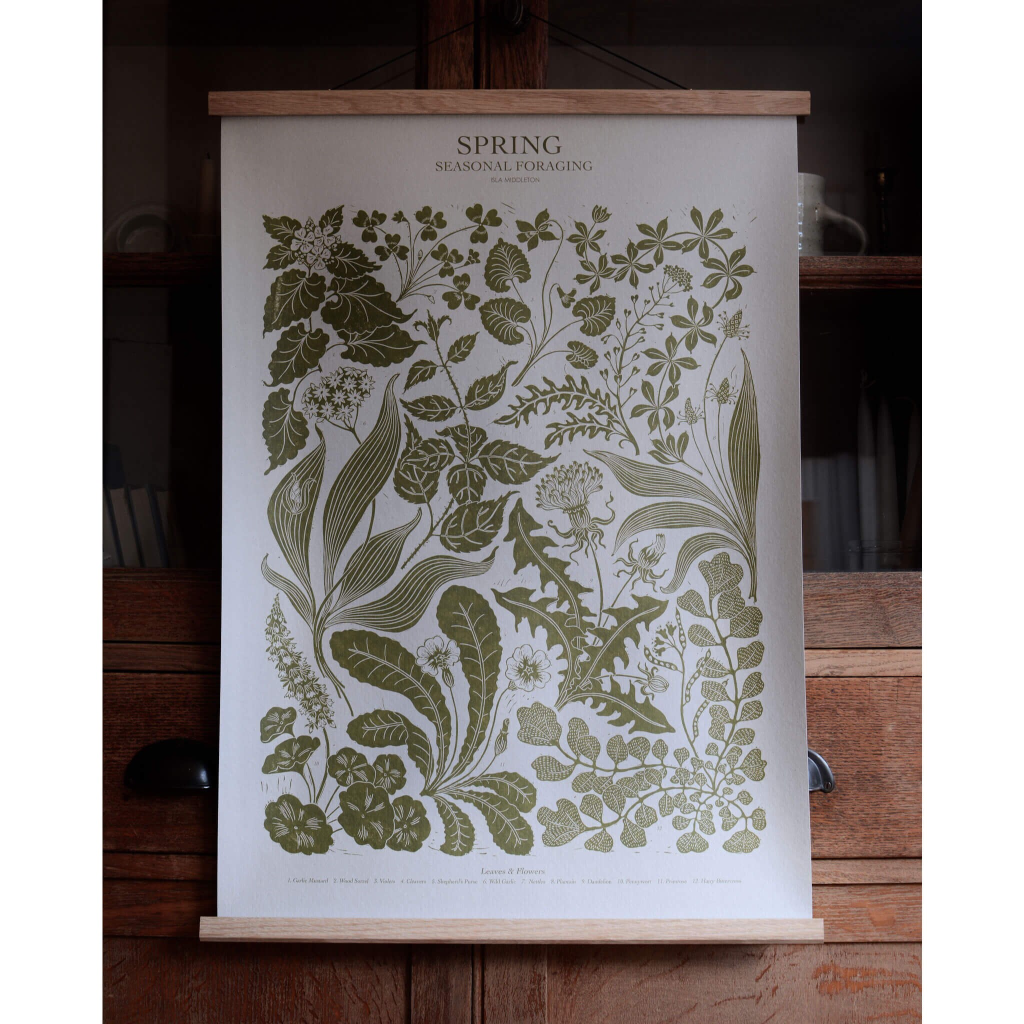 Botanical Print Spring by Isla Middleton, Foraging Plants, Botanical ...