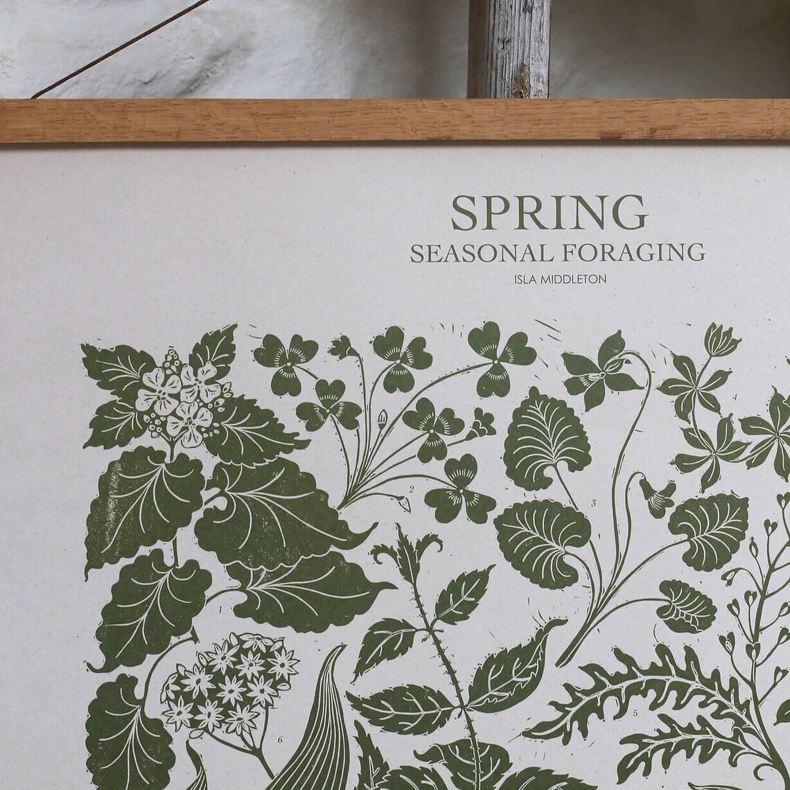 Botanical Print Spring by Isla Middleton, Foraging Plants, Botanical ...