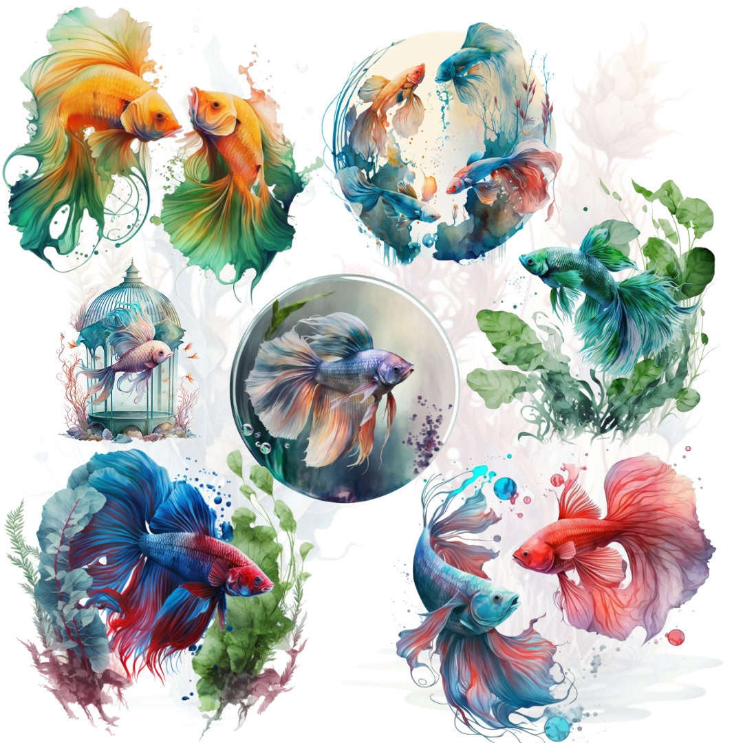 25 Watercolor Betta Fish Clipart Gold Fish Rainbow Color - Etsy Australia