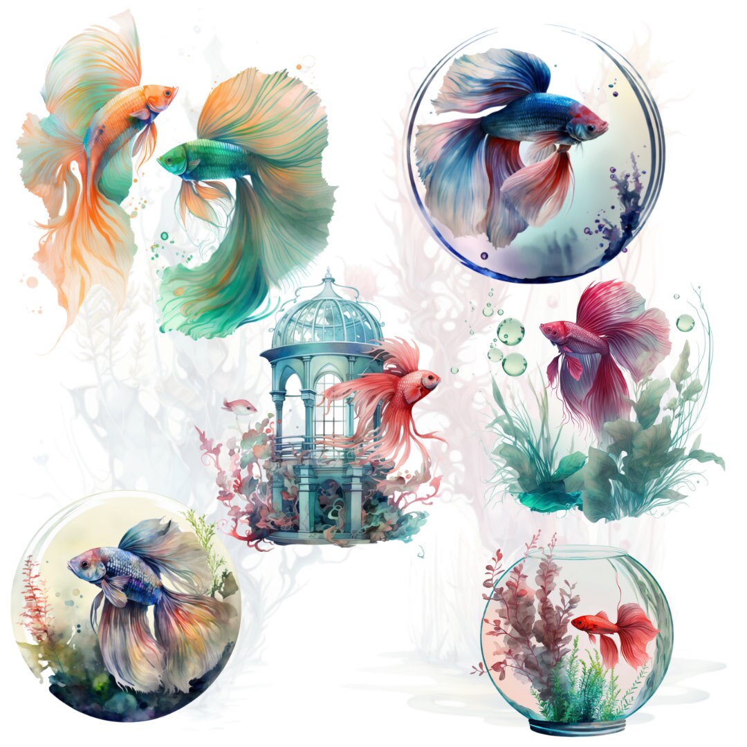 25 Watercolor Betta Fish Clipart Gold Fish Rainbow Color - Etsy Australia