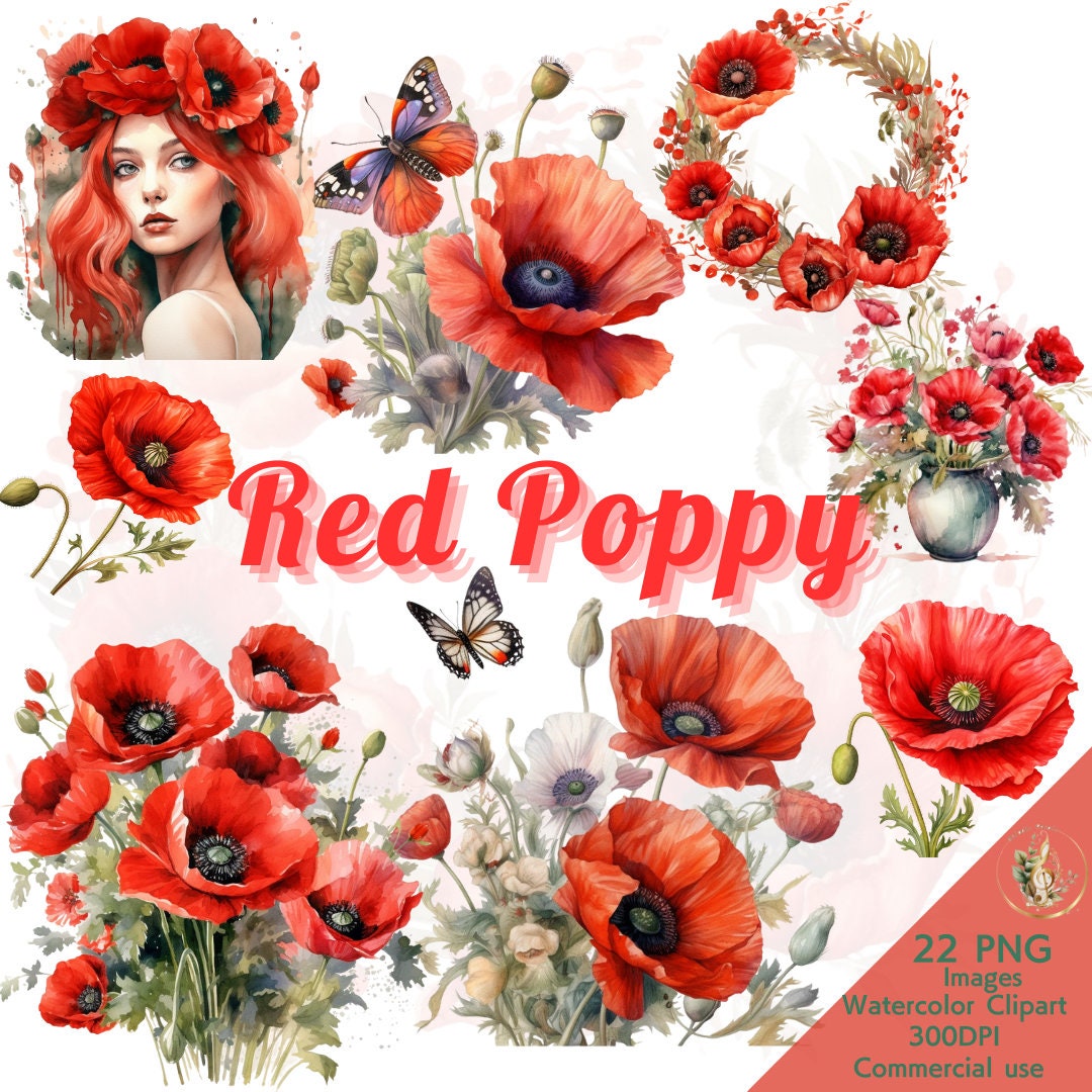 Red Poppy, Watercolor Flower Image, Bouqet, Wreath, Basket, Vase, Card ...