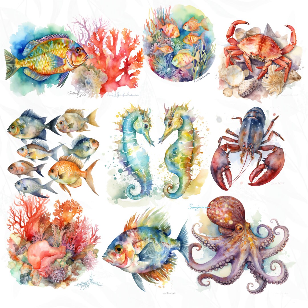 Summer Memory Set, Beach Picnic, Ocean, Surfing, Wave,nautical,png ...