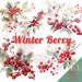 Winter Berry, Watercolor Clipart, Red Berry, Christmas Card, Card ...
