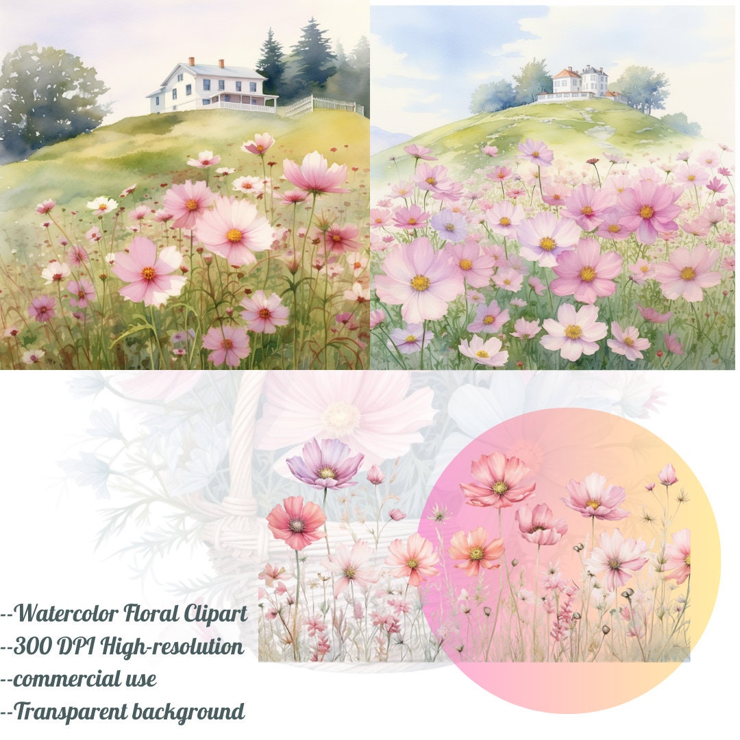 Wild Cosmos Clipart Watercolor Wild Flowers, Pink Cosmos, Wedding ...