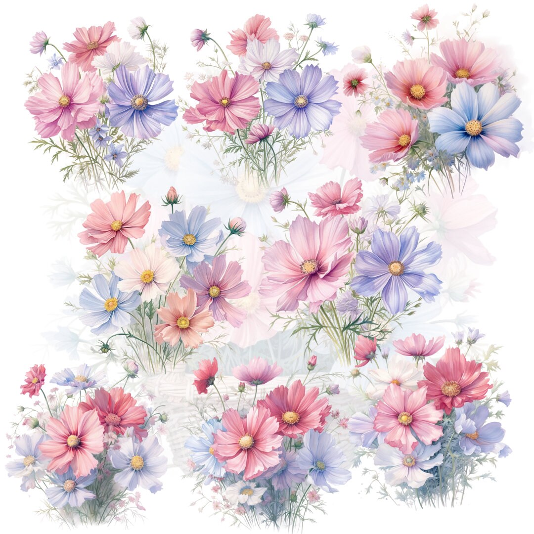 Wild Cosmos Clipart Watercolor Wild Flowers, Pink Cosmos, Wedding ...