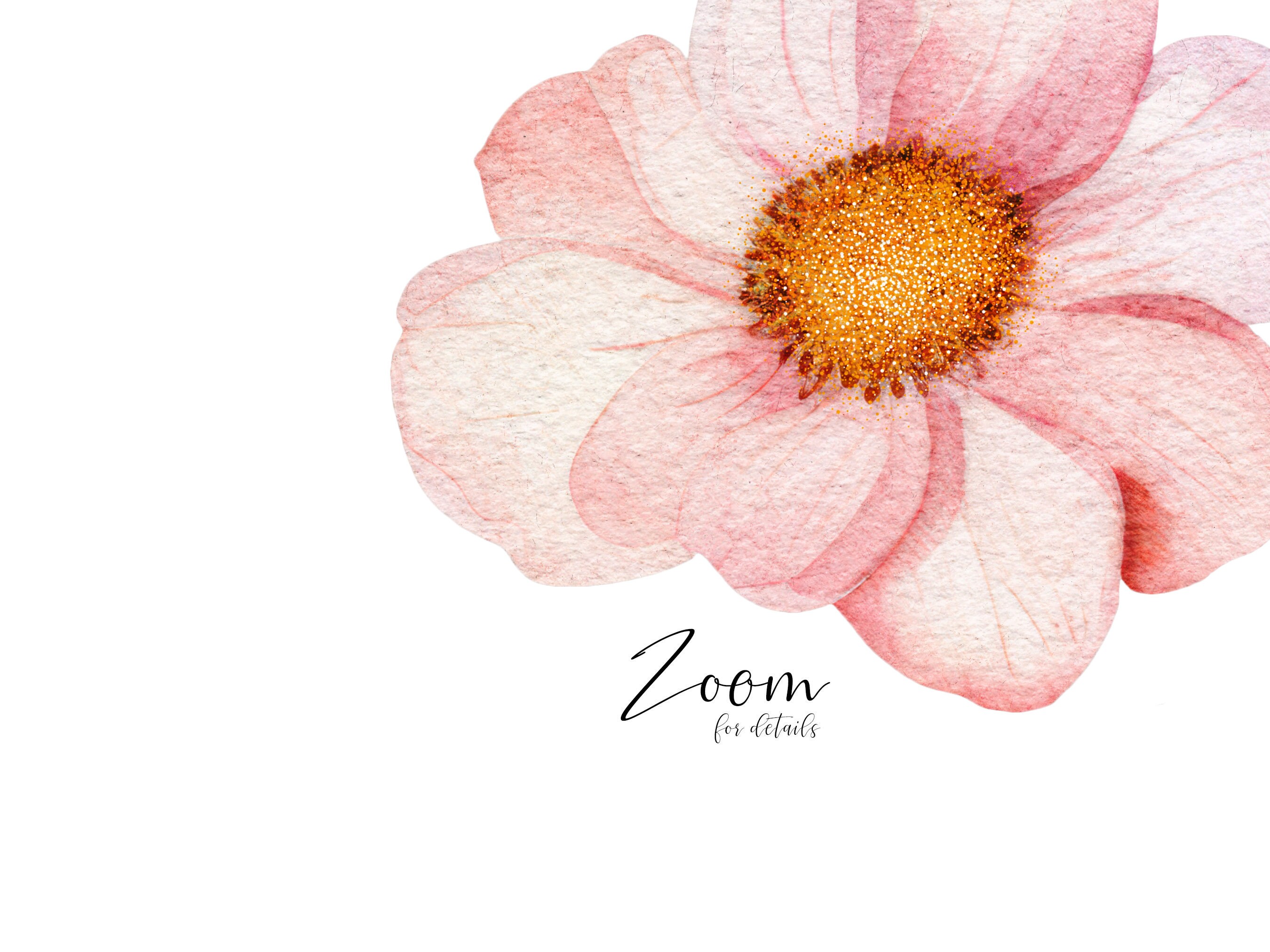 Pink Florals Watercolor Png Clipart Bundle Instant Download - Etsy