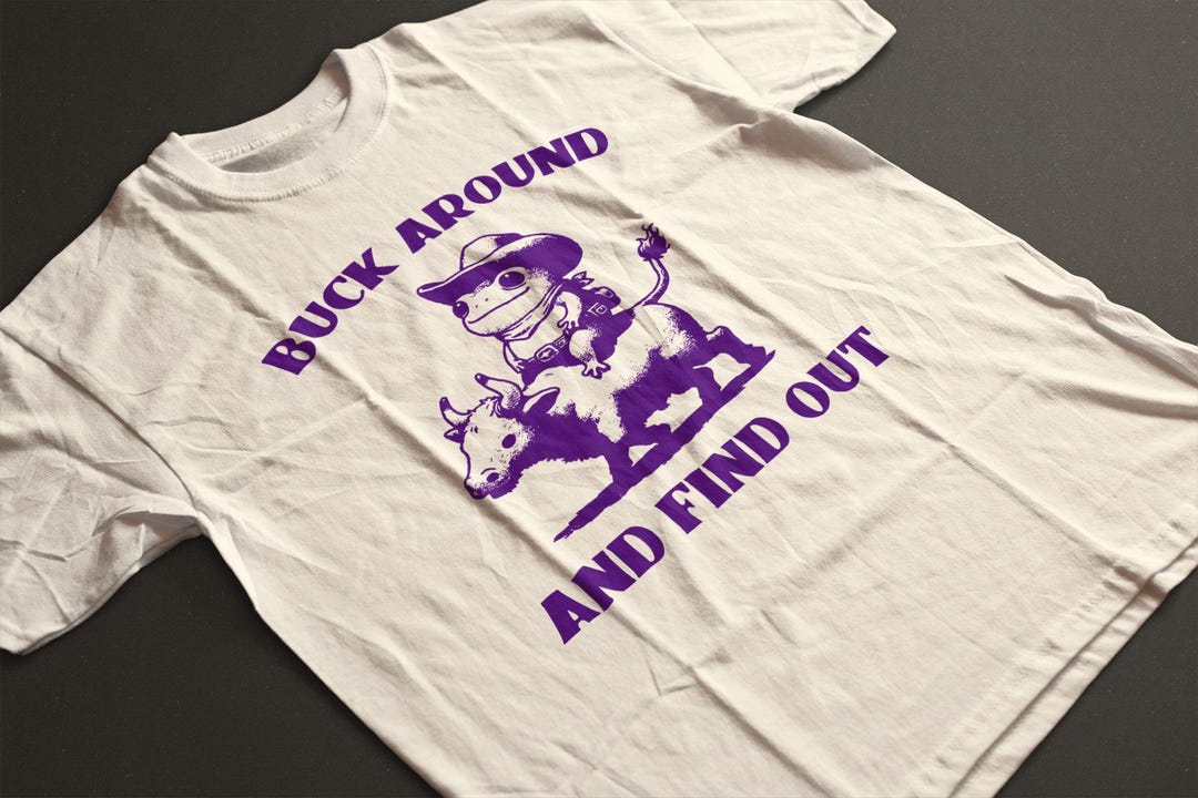 Duck Around and Find Out Funny Meme Tshirt - Etsy