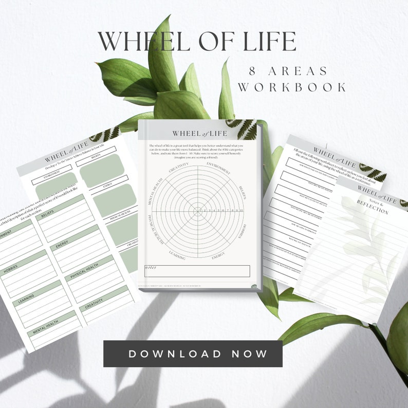 Wheel of Life Worksheet, Wheel of Life Workbook, Wheel of Balance, Self ...