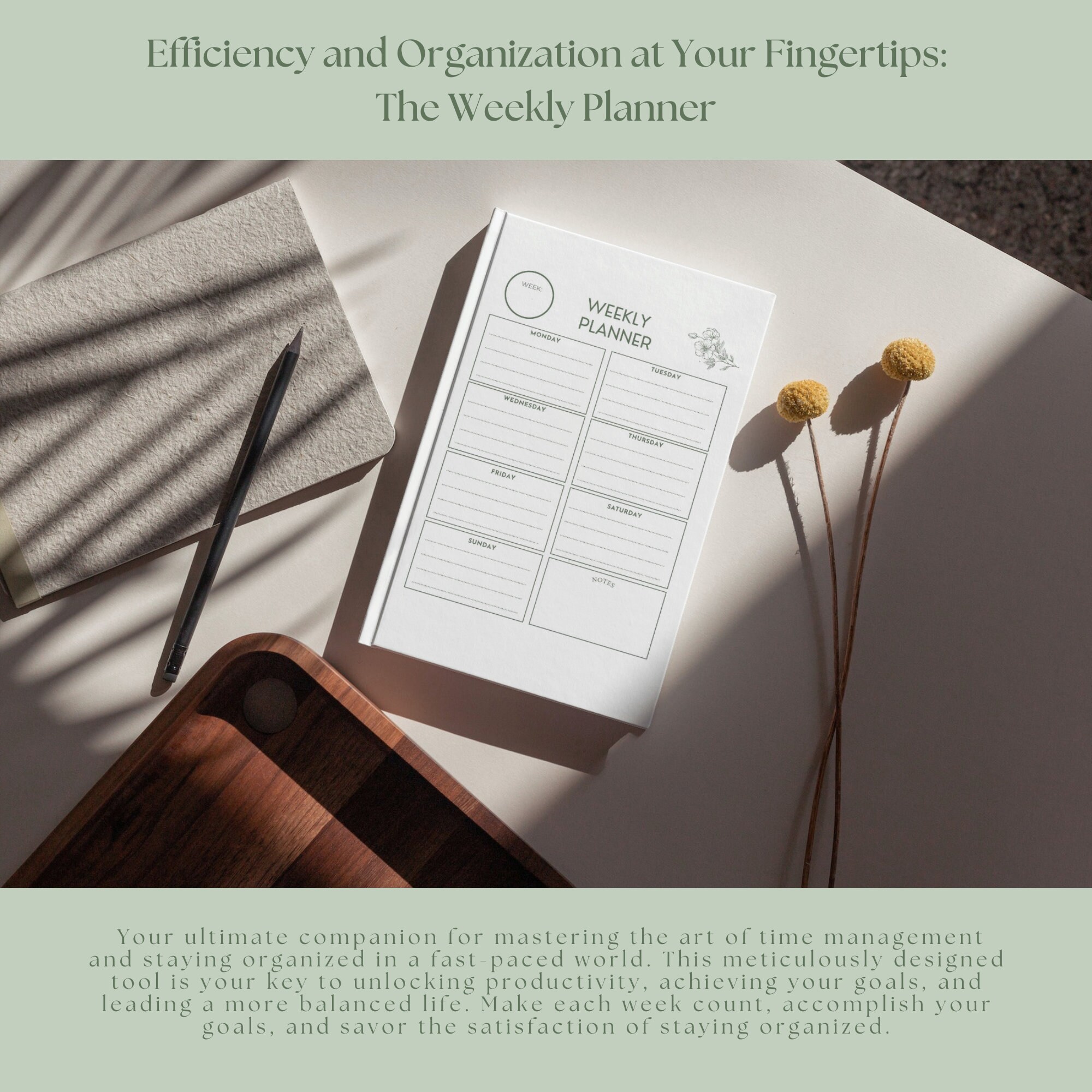 Printable Weekly Planner Weekly Schedule Digital Weekly - Etsy