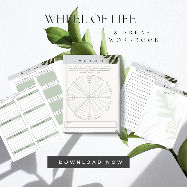 Wheel of Life Worksheet, Wheel of Life Workbook, Wheel of Balance, Self ...