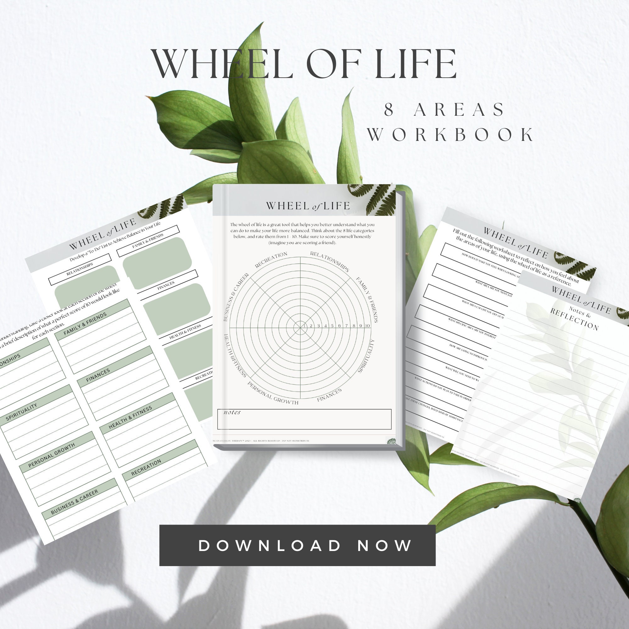 Wheel of Life Worksheet, Wheel of Life Workbook, Wheel of Balance, Self ...