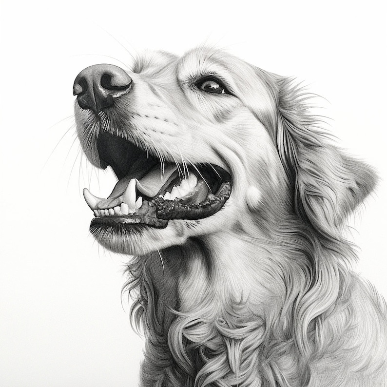 Realistic Dog Pencil Drawings - High-quality Art Prints - Etsy