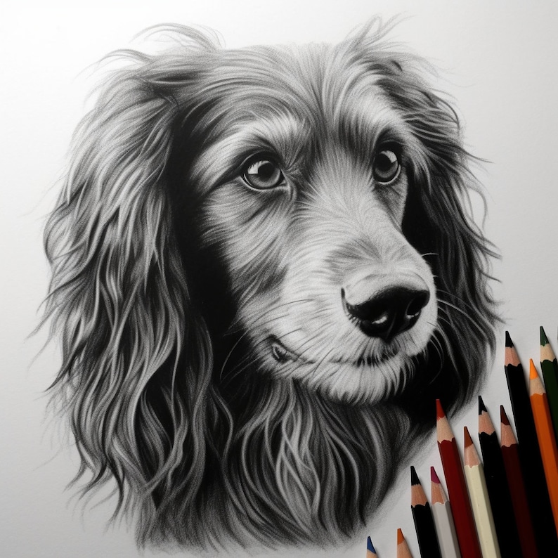 Realistic Dog Pencil Drawings - High-quality Art Prints - Etsy
