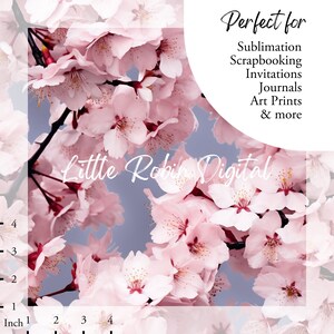 Cherry Blossom Photo Realistic Seamless Pattern Set (3) , Printable ...