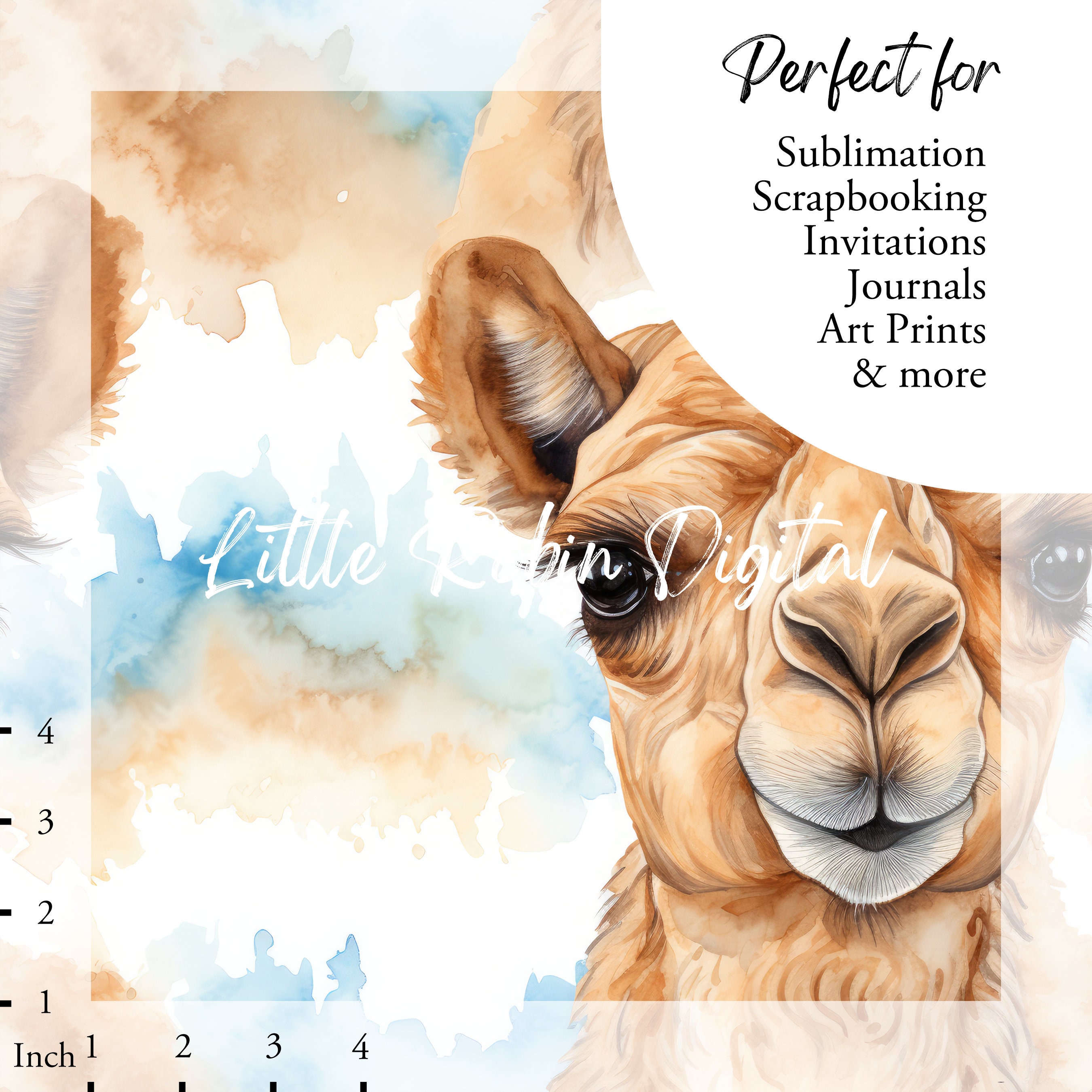 Camel Seamless Pattern Set (4) , Printable, Scrapbook Paper, Digital ...