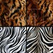 Deluxe Animal Skin Pattern Textures Digital Paper, Seamless Patterns ...
