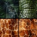 Deluxe Animal Skin Pattern Textures Digital Paper, Seamless Patterns ...