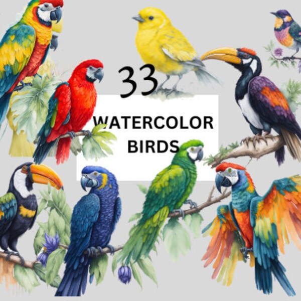 Parrot Watercolor - Etsy