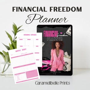 Financial Planner, Financial Planning, Master Resale Rights, MRR PLR ...