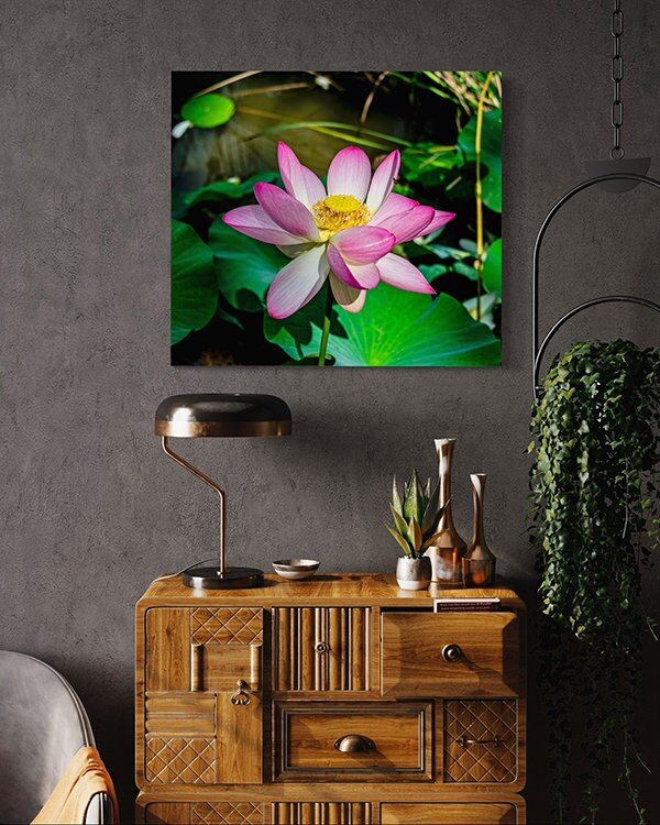 Flower Wall Art Photos Home Decor Digital Download Photo Wall Decor ...
