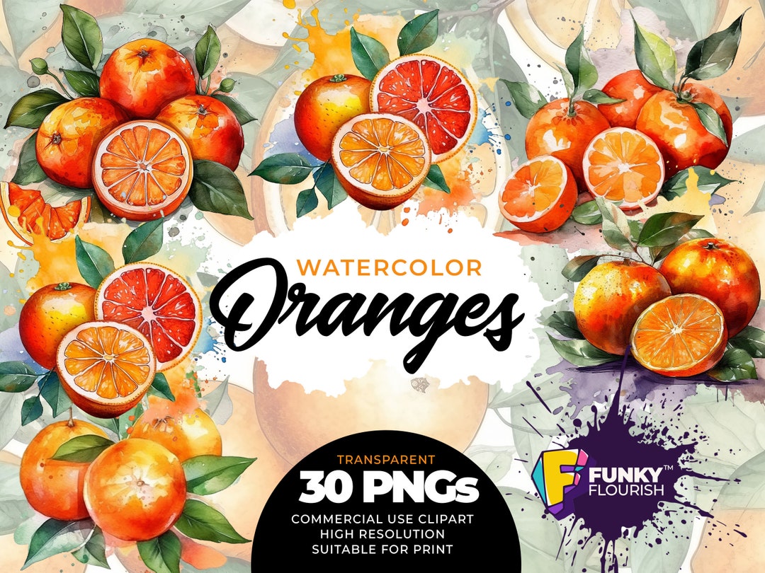 Watercolor Oranges Clipart: Transparent Pngs High DPI - Etsy