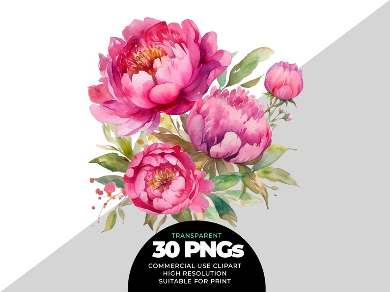 Watercolor Pink Peonies Clipart: High DPI Print-ready Pretty - Etsy