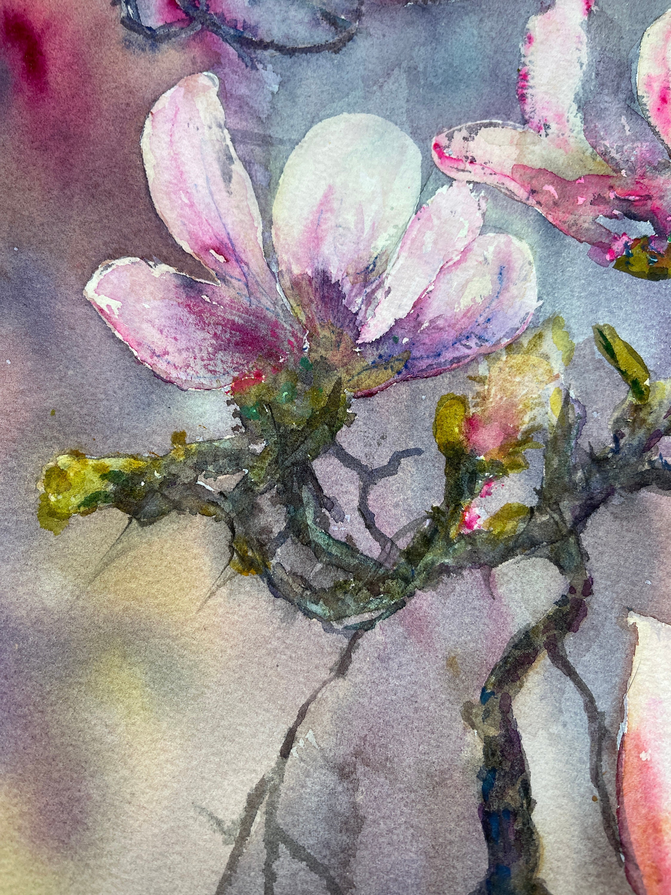 Pink Magnolias - Etsy