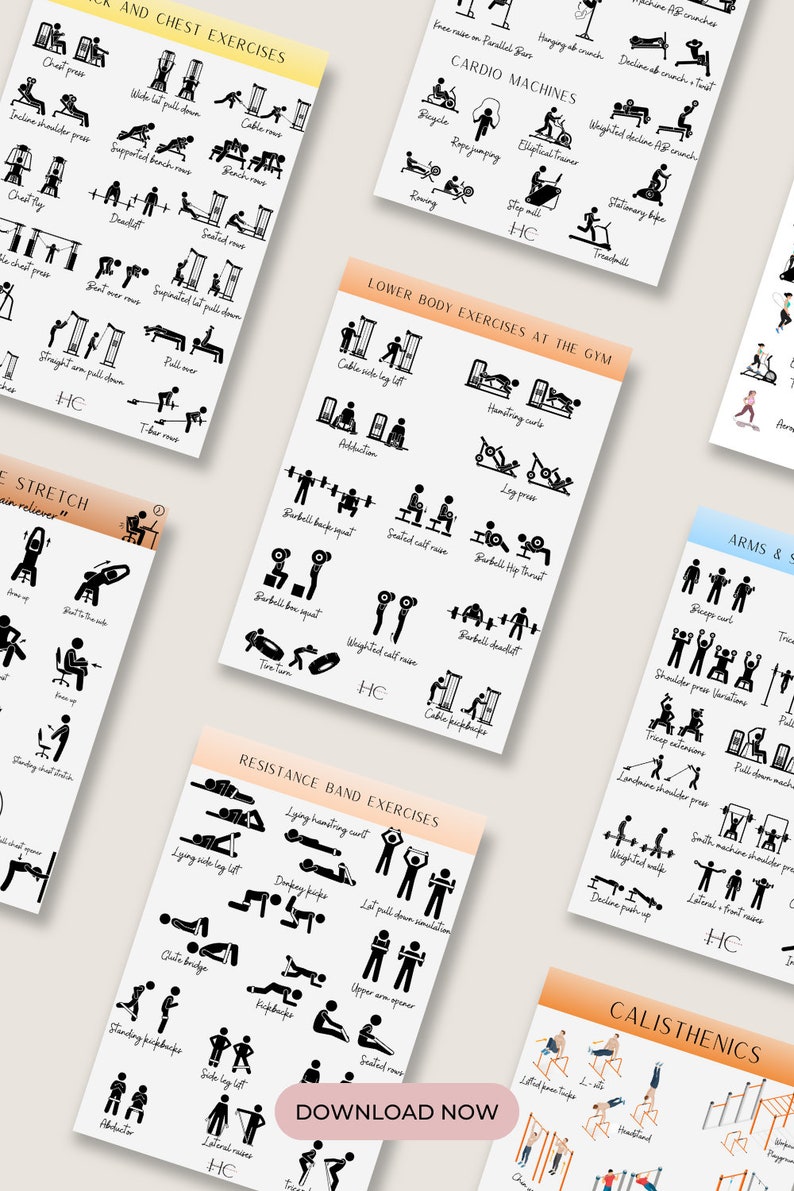 Fitness Guide / Gym / Workout Plan Routine / Printable Workout Exercise ...