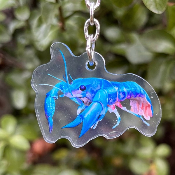 Blue Lobster - Etsy