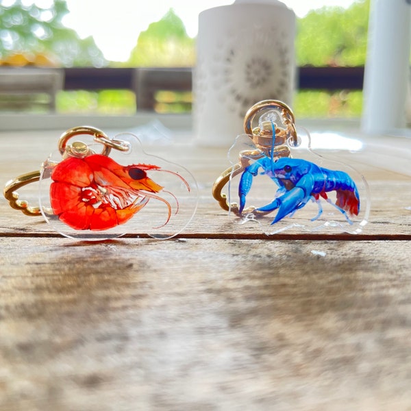 Blue Lobster - Etsy