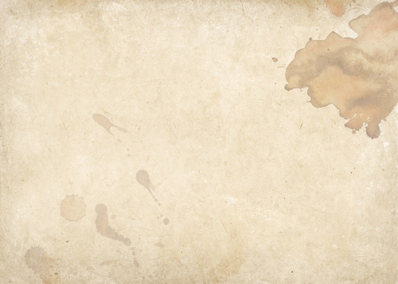 Dnd Character Card | Digital Download Character Info Sheet | D&D ...