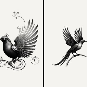 Magical Fantasy Birds Clipart - Fantasy Magic Birds, Black and White ...