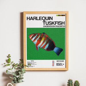 Aquarium Fish Poster Aquarium Poster Tropical Fish Digital - Etsy