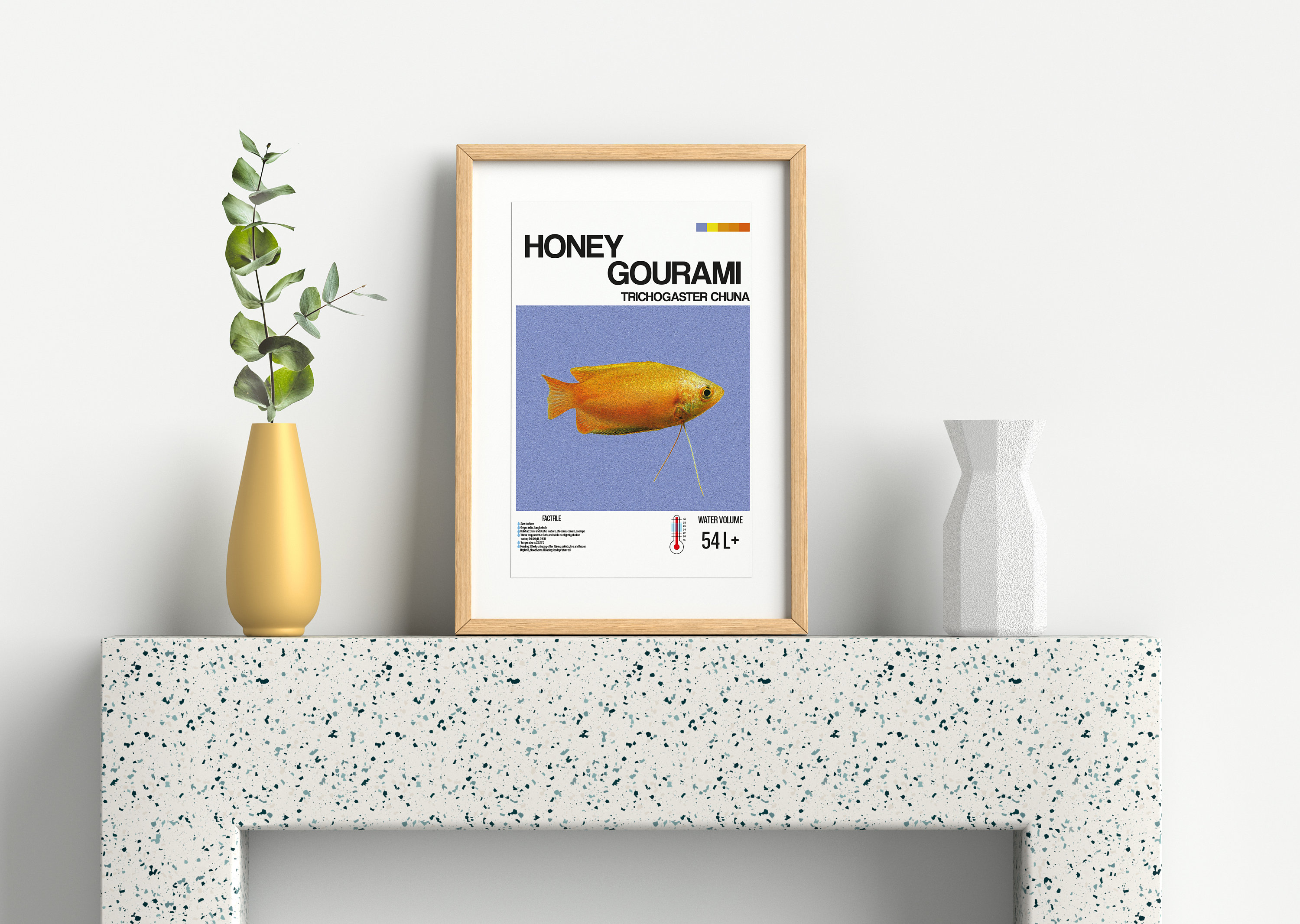 Honey Gourami Fish Poster - Customizable Digital Aquarium Wall Art ...