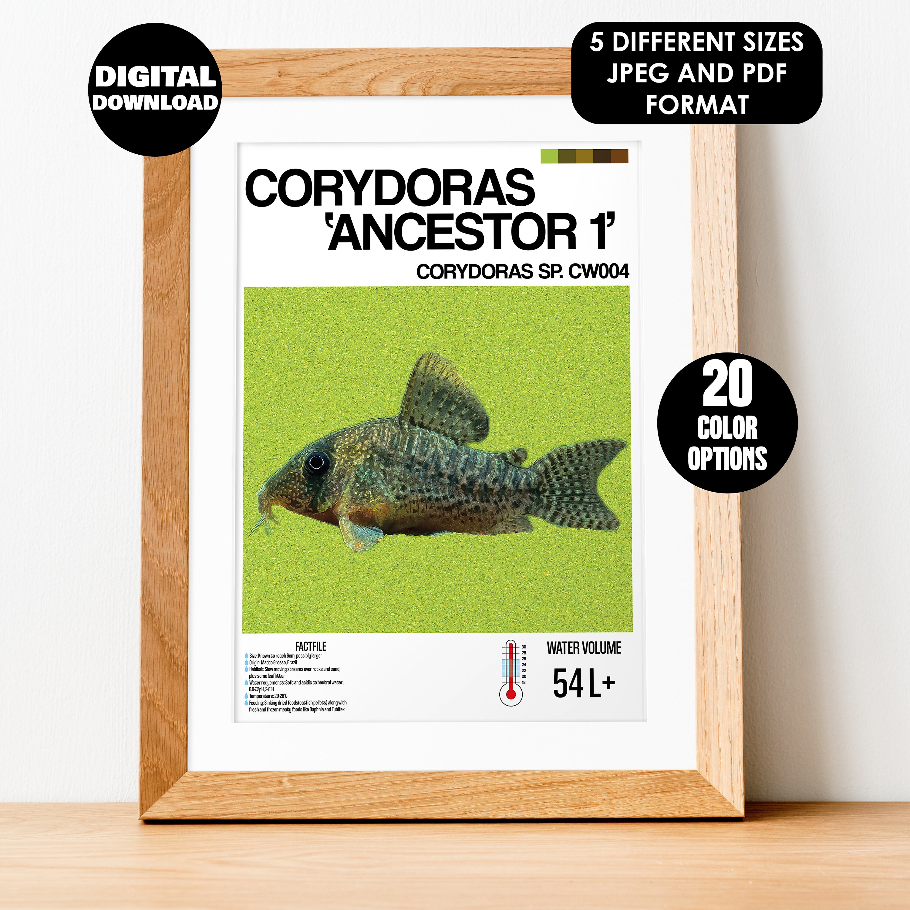 Corydoras Aquarium Fish Poster - Digital Wall Art - Tropical Fish Decor ...