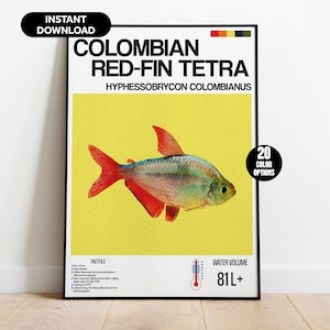 Colombian Red-fin Tetra Aquarium Fish Poster - Digital Wall Art ...