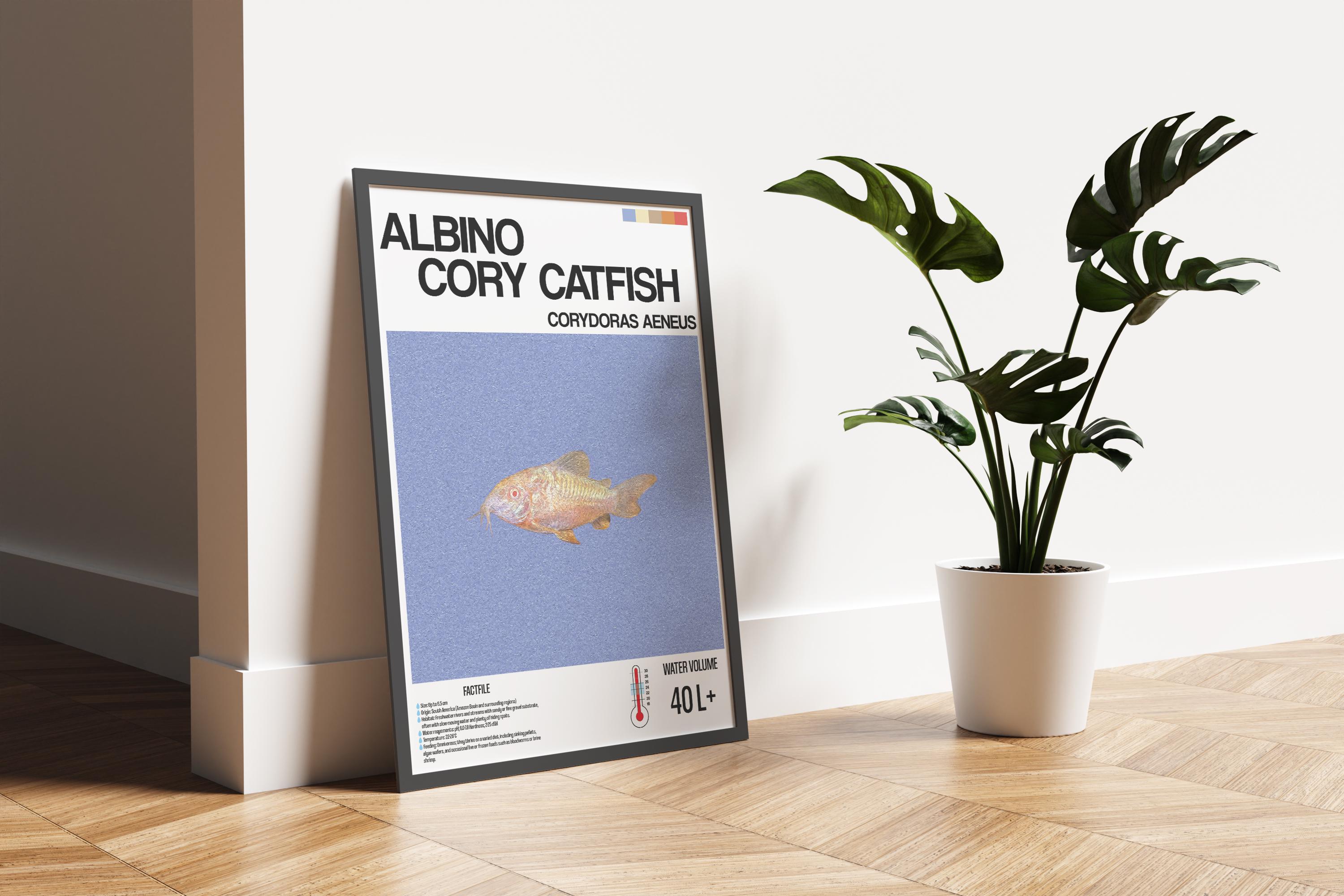 Albino Cory Catfish Fish Poster Design – Aquarium Wall Art & Digital ...
