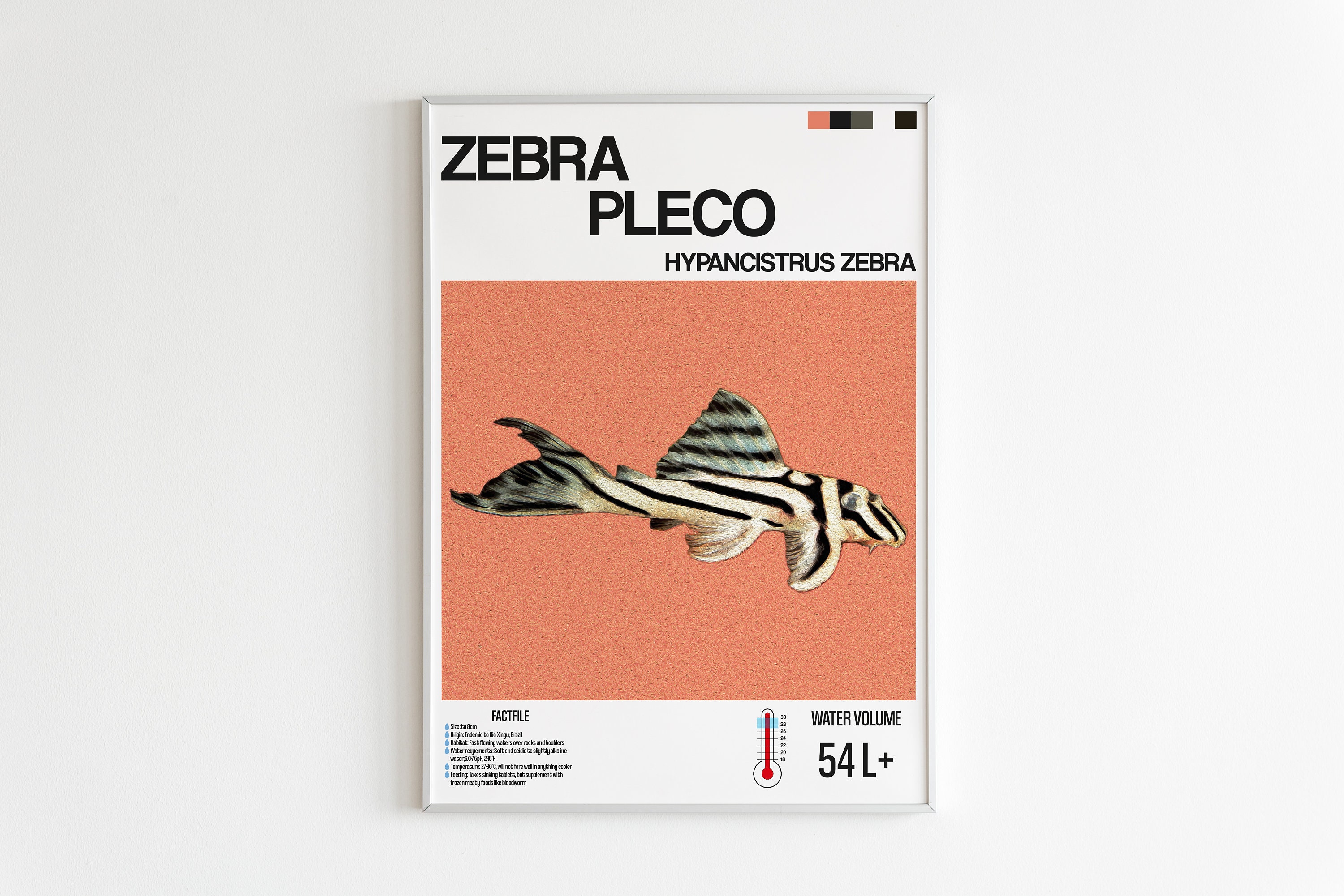 Zebra Pleco Fish Poster - Customizable Digital Aquarium Wall Art ...