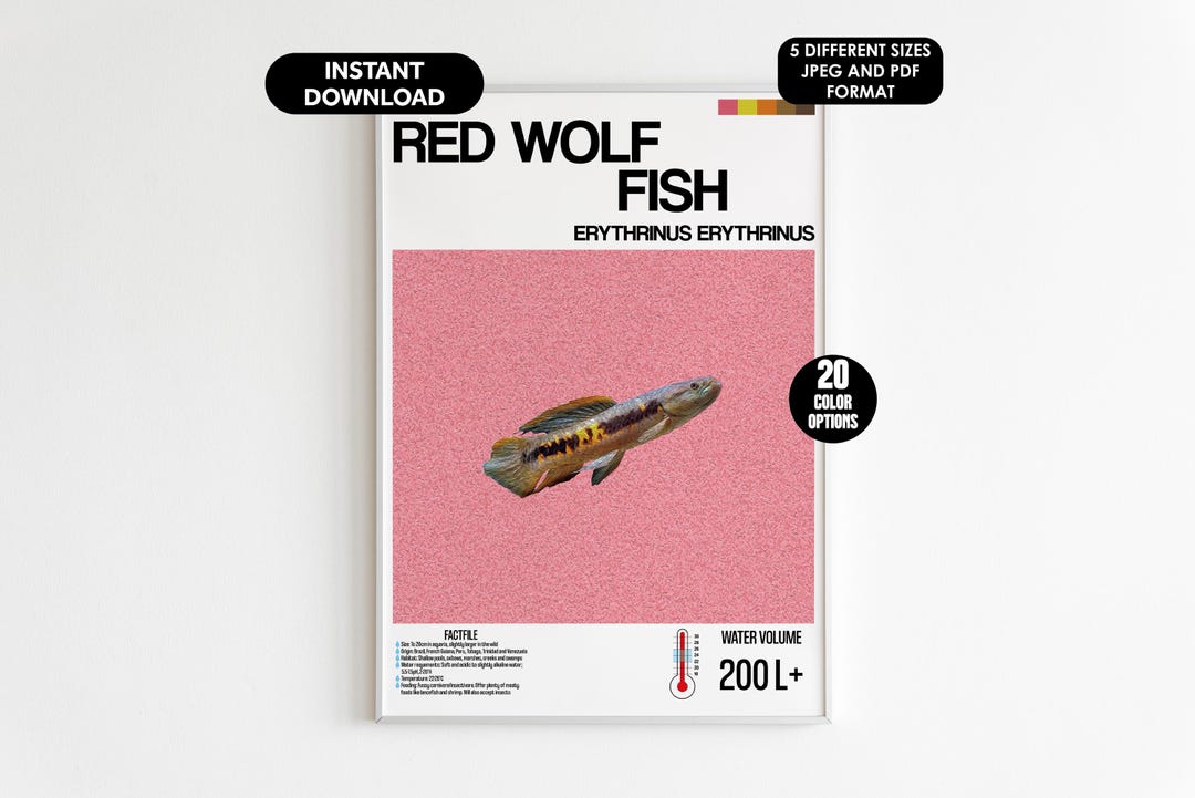 Red Wolf Fish Aquarium Fish Poster - Digital Wall Art - Tropical Fish ...
