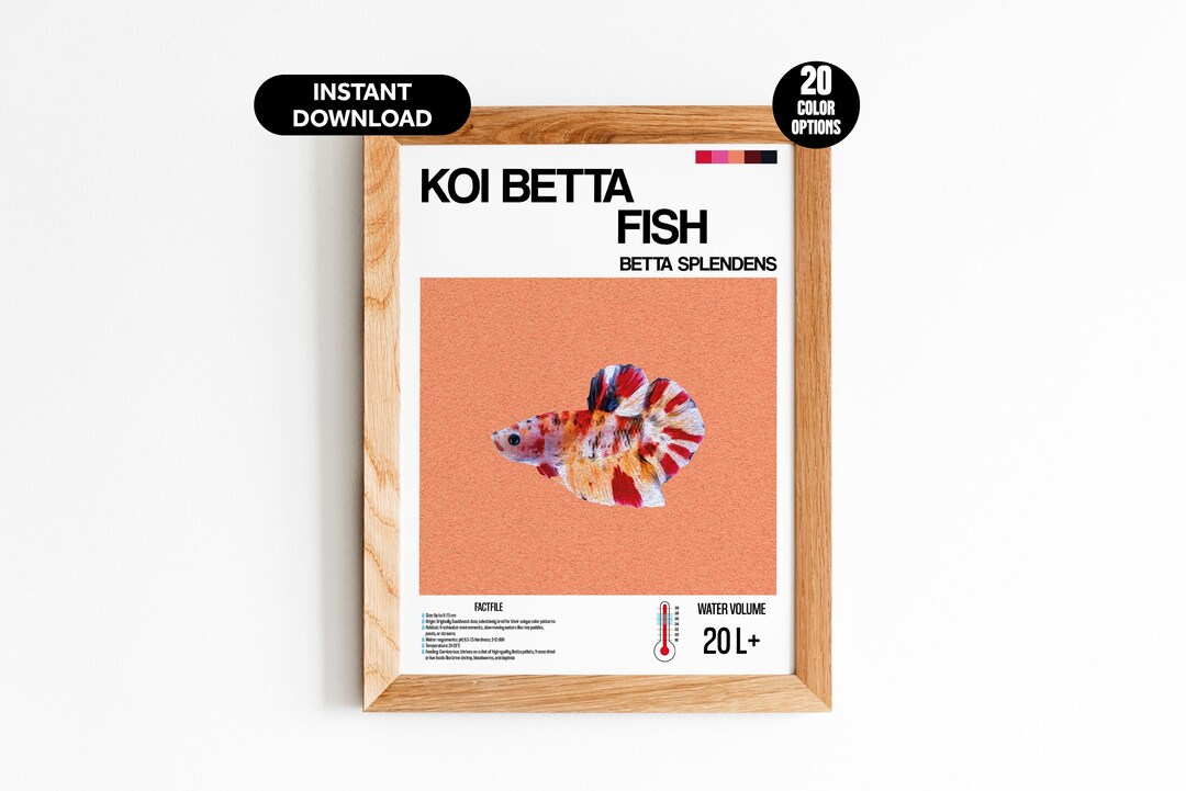 Koi Betta Fish Poster Design – Aquarium Wall Art & Digital Print ...
