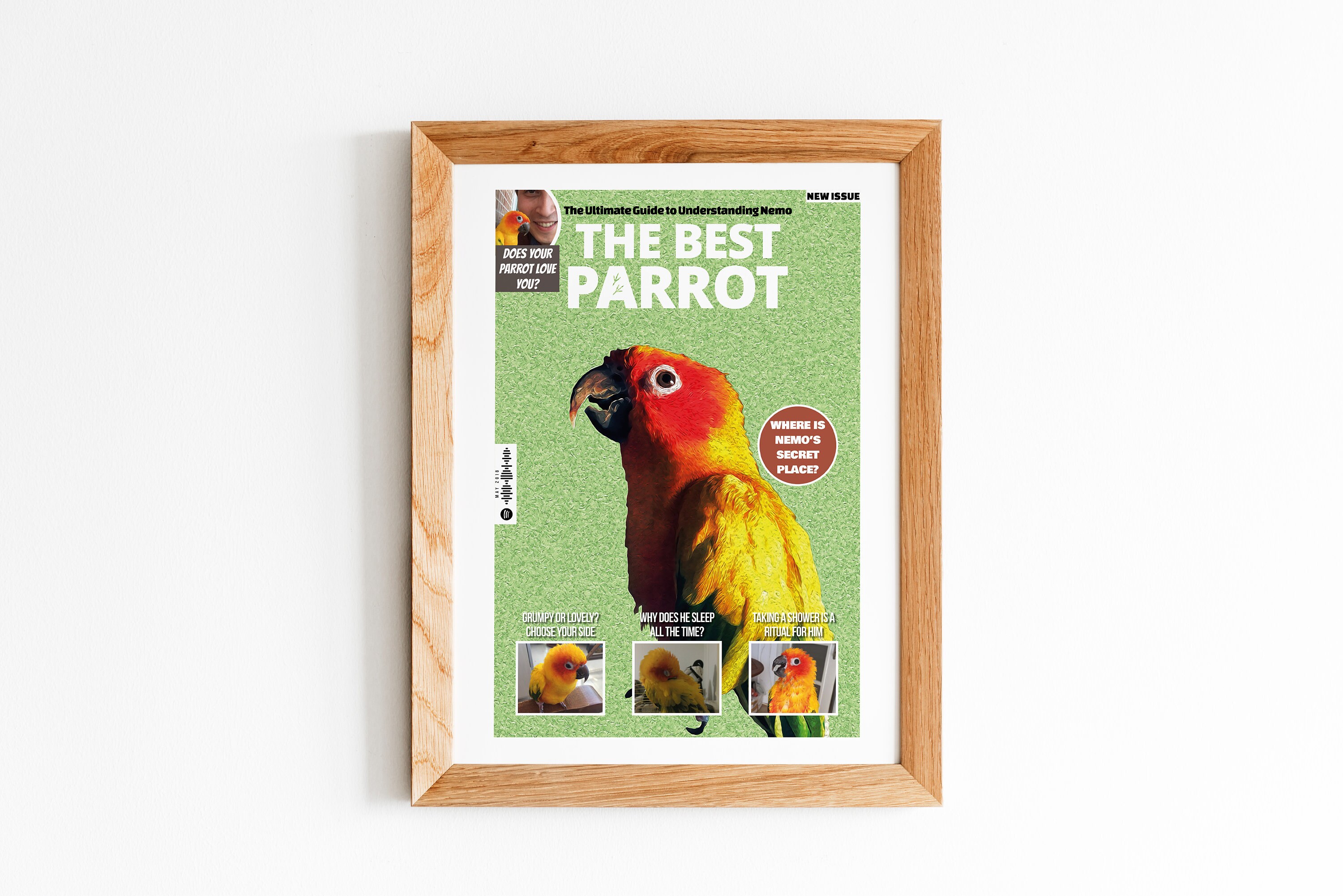 Custom Parrot Poster, Magazine Pet Poster Covers, Parrot Portraits ...